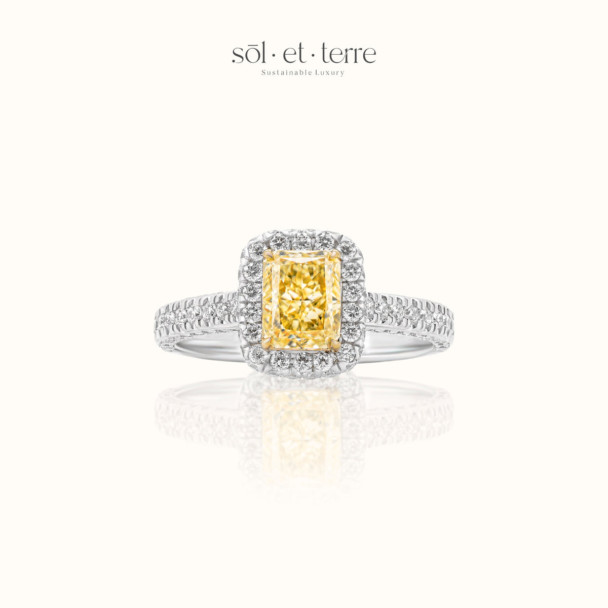 Stellar Radiance Diamond ring | Sol et Terre